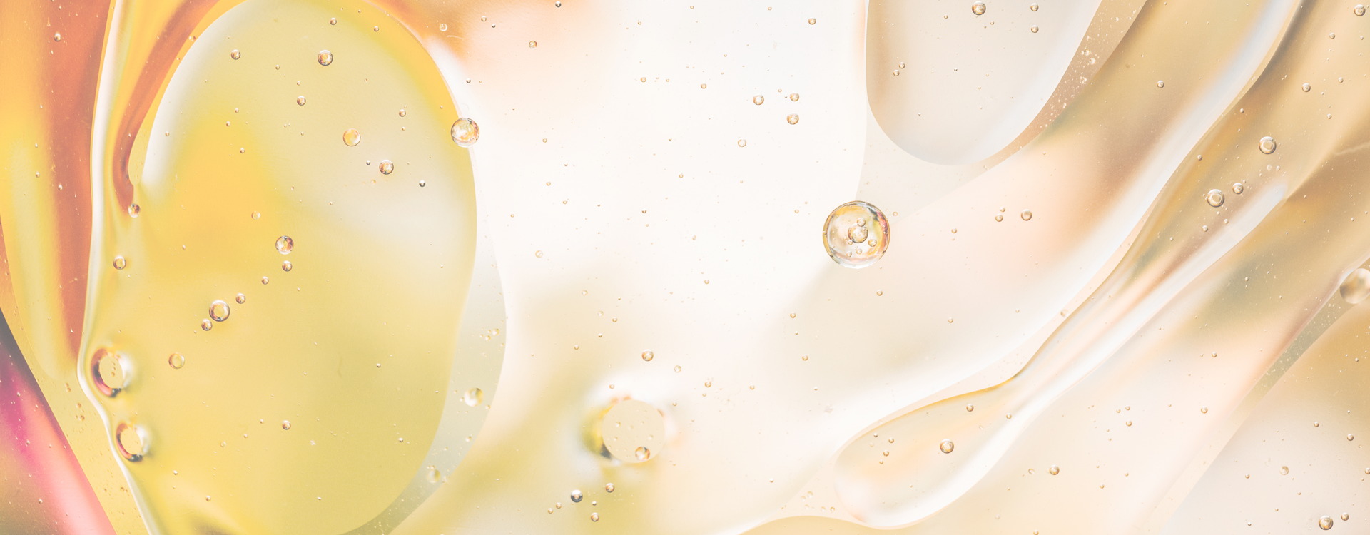 August 2023 - The Secrets for Implementing a Clean Lubricant Program ...